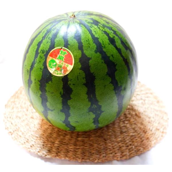 生産者：ヤマサ有機農園（徳島県阿波市）防除：農薬0回・化肥0回品種：甘泉