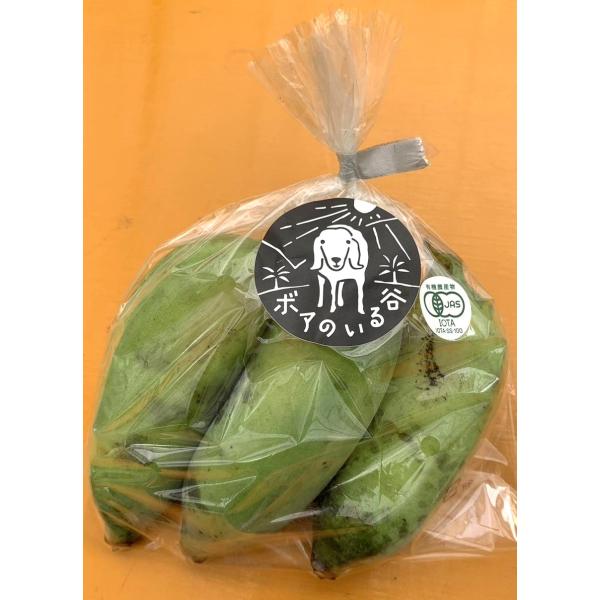 生産者：ボアのいる谷（沖縄県北中城町）有機JAS認証（有機許容農薬不使用）2〜3本入り（250g〜360g）パックとなります。短くずんぐりした形のバナナです。常温に置き、皮に茶色い点(シュガースポット)が出始めてさらに３〜４日後、皮が緑が完...