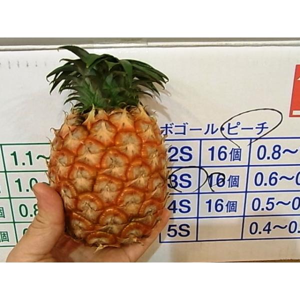 生産者：真南風（沖縄県石垣島 または西表島）防除：農薬7割減（虫1植1除1）・化肥5割減品種：ピーチ種1箱16個入個（3Sサイズ：1個600g〜800g）石垣島とでつくられるパイナップルは適度な甘味と酸味のバランスが良く、薫り高いジューシー...