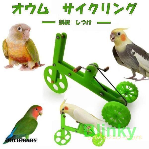 お使いのモニターや撮影時の光の加減などにより画像と実際の商品のカラーが若干異なる場合もございます。