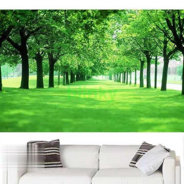 [サイズ選択可能(cm)]：40*60cm、50*75cm、60*90cm、70*105cm、80*120cm[素材]：高品質のPVC素材（壁に貼ってはがせる素材です）[パッケージに含まれるもの]：1枚 x ウォールステッカー[使用簡単]：...