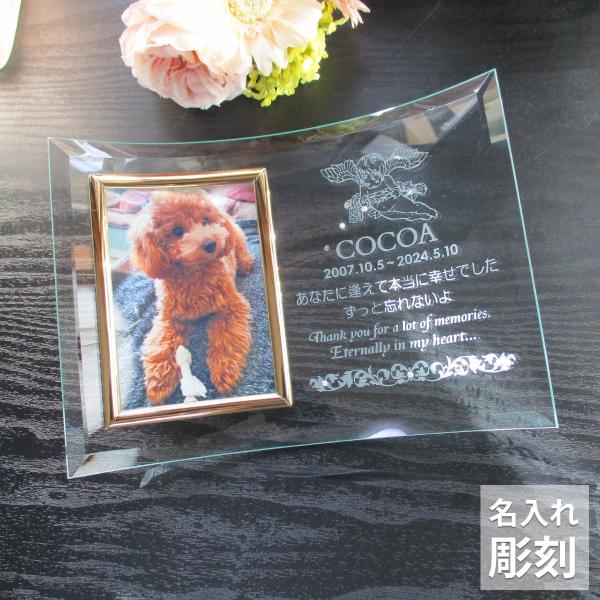 【ペットメモリアルフォトフレーム・天使へのメッセージ】ペットメモリアル　ペット遺影　ペット写真立て　虹の橋　にじの橋　天使　エンジェル　ペットロス　名入れ　写真立て　フォトフレーム　フォトスタンド　L版　●曲げガラス製写真立て●サイズ：縦型...