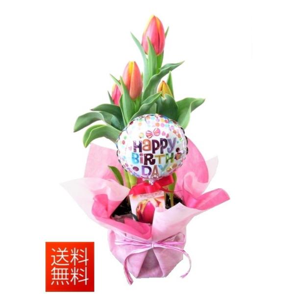 サイズ：高さ約35cm〜40cm