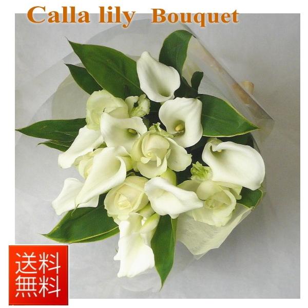 サイズ：長さ：約45cm/横約25cm