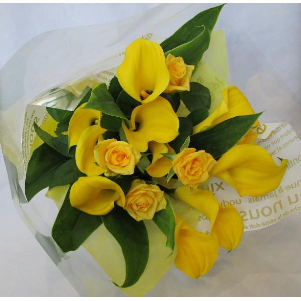 サイズ：長さ：約45cm/横約25cm