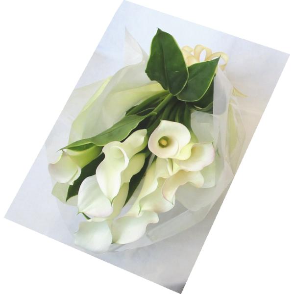 サイズ：長さ：約45cm/横約25cm