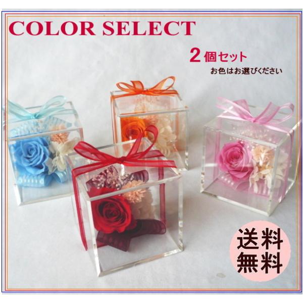 サイズ　6.5×6.5cm　バラ・アジサイ（プリザーブドフラワー）2個以上ご購入の場合追加のお色を入力欄又は備考欄にご記載下さい。