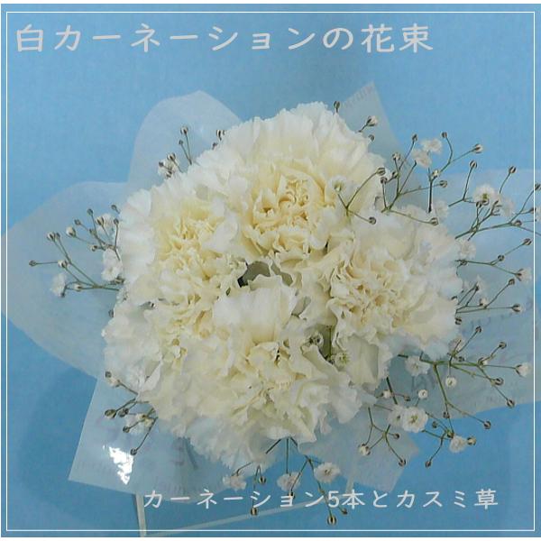 カーネーション5本とカスミソウの花束サイズ　お花　長さ　約20cm