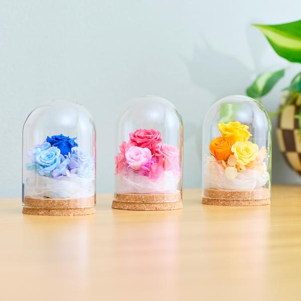 ＜内容量＞ガラスドームプリザは以下の色からお選びいただけます。・ガラスドームプリザ　ピンク／黄／青（縦×横×奥：約12cm×約8cm×約8cm）※お花のサイズは個体差があるため目安になります。※写真はイメージです。＜お届け方法＞宅急便でお届...