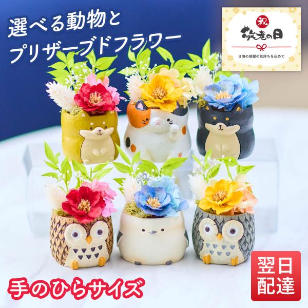 花器は以下よりお選び可能です。・ふくろう・茶・ふくろう・グレー・シマエナガ・柴犬・茶・柴犬・黒・三毛猫スイーツは以下からお選び頂けます。・甘美どら焼き・銀座千疋屋フルーツカステラサイズ　縦×横×高：約10cm×8cm×8cm※お花のサイズは...