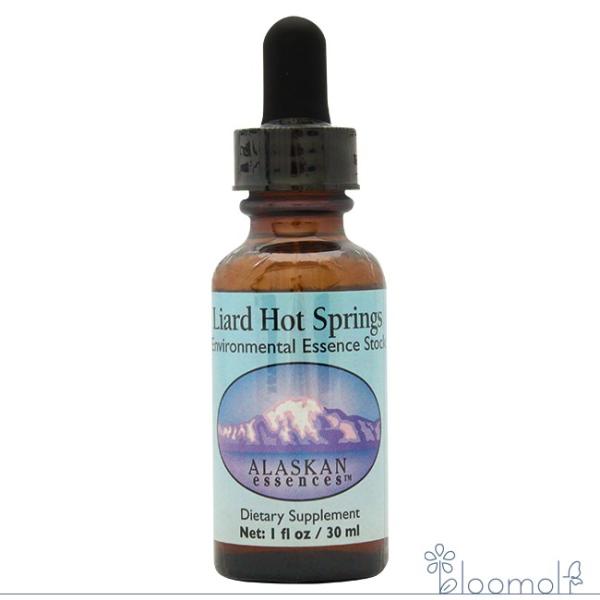 カナダ、ブリティッシュ・コロンビア州の鉱泉から作られました。浄化とエネルギーの再生というエッセンスです。このエッセンスは、私たちが本来何者であったか、ということを思い起こす助けをしてくれます。つまり、私たちは本来スピリチュアルな存在で、この...