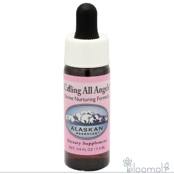 あなたが天使界の愛やガイダンス、プロテクションのエネルギーとコンタクトをとる助けをしてくれます。このフォーミュラはとても柔らかく、愛にあふれた清純なエネルギーをあなたのハートや肉体や環境にもたらしてくれます。天使の愛にあふれたエネルギーを喚...