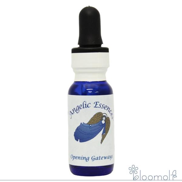次のステップへの扉を開き、光で照らします。意識を高め、神とのつながりをもたらします。■商品名：#146 オープニング・ゲートウェイズ アンジェリックエッセンス スピリチュアルな成長と目覚めのキット Opening Gateways