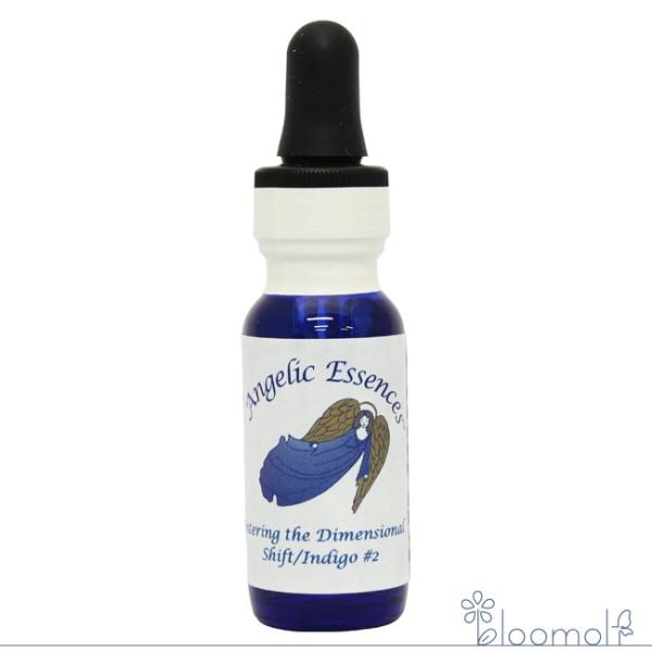 次なる次元のバイブレーションへのシフトを起こすために必要なエネルギーを準備し、これを根づかせてくれます。これは、来るべき変化への備えとして、私たちに必要な準備となります。気づきが高まり、古いパラダイム(体系)から新しいパラダイムへとシフトし...