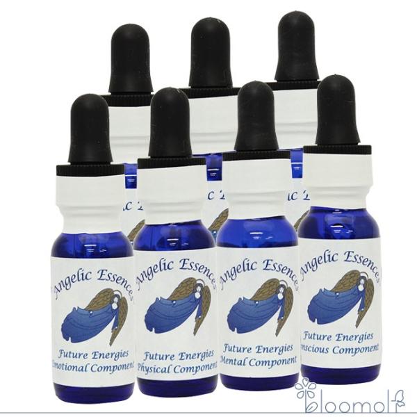 新しいエネルギーを肉体に根づかせ、地球上の人々に行き渡らせるために。全体性に貢献するライトワーカーたちの変容がスムーズにいくようにサポートするエッセンスです。■キット内容【#155】フィジカル コンポーネント、【#131】メンタル コンポー...