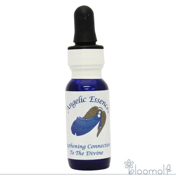 私たちの個人の神性とのつながりを強化してくれます。自らの神性が強くなると、私たちの波動があがり、意識レベルが高くなり、健康状態も改善され、人生がもたらす恩寵とより十分につながるようになり、そして自らの神性の祝福と愛に満たされます。自らの神性...