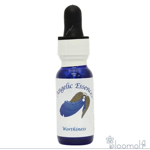 自分に価値があることを感じていないと豊かさはやってきません。このエッセンスは繁栄を受け取るためのエッセンスです。■商品名：#209 ワージネス アンジェリックエッセンス Worthiness