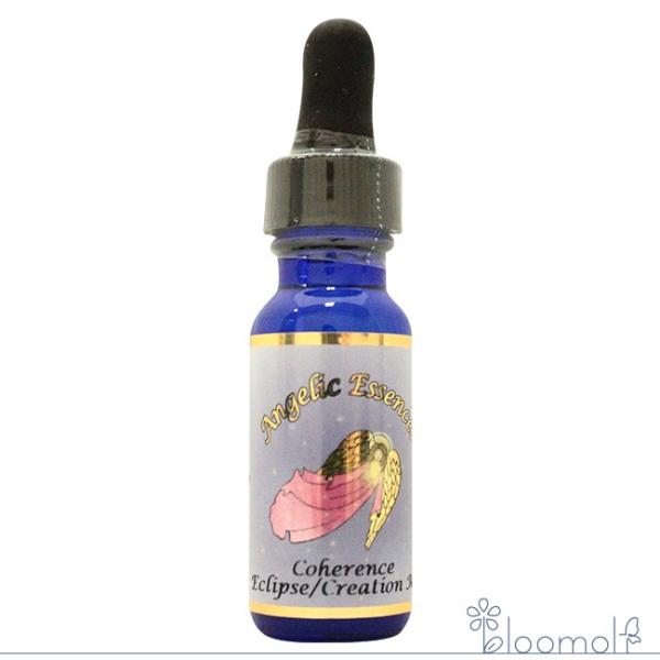 このエッセンスは、一貫性と秩序ある全体の中に変化のエネルギーをもたらし、最大のサポートと具現化を可能にしてくれます。このシリーズの中で、このエッセンスは新たな現実に移行するサポートになります。それでありながら、個別に使用することで、いかなる...