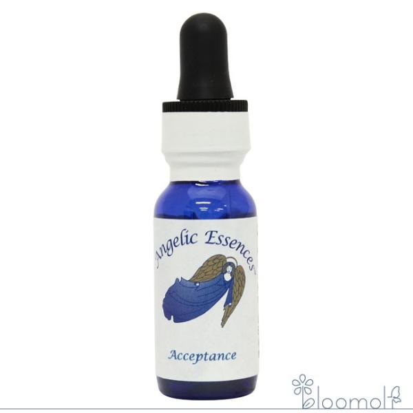 受容。人生をありのままに受け容れる。他者や状況を変えたくなる衝動を解放します。ありのまま十分に受容し、何も間違ったものなどないのだと気づかせてくれます。何かが間違っていて変える必要があるという思い込みを解放します。内なる自由をもたらします。...