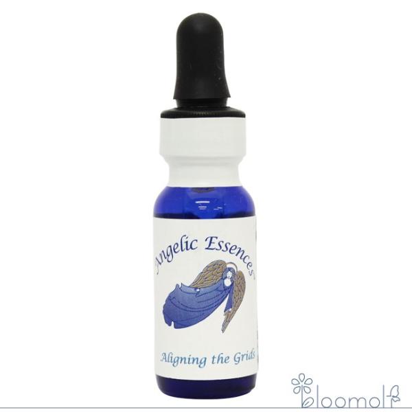 グリッドの調整。すべての物や人は、エネルギーと磁気でできたグリッド(縦横の格子)に囲まれています。このグリッドは私たちの健康と調和を保つためにあります。すべてのグリッド機能は互いに関連しあい、全体システムの一部として働いています。個人のグリ...