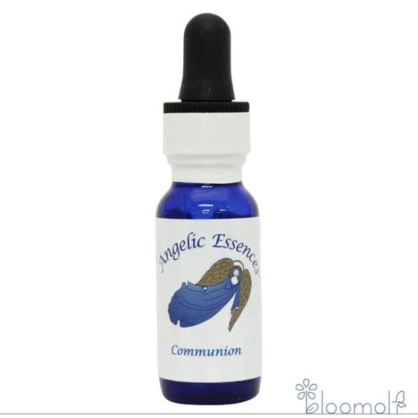 聖なる仲間。ひとつになるためのエッセンス。ハイヤーセルフ、スピリチュアルガイド、スピリチュアルティーチャー、他の惑星の存在たち、そして高次のパワーとのコミュニケーションとつながりを高めます。また、人や動物や植物などのハイヤーセルフとつながる...