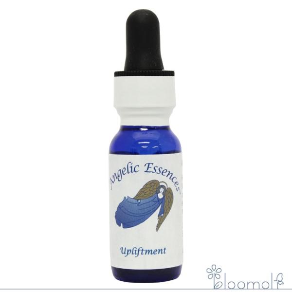 鬱や落ち込んだ時に助けてくれます。■商品名：#204 アップリフトメント アンジェリックエッセンス アンジェリックエッセンス Upliftment