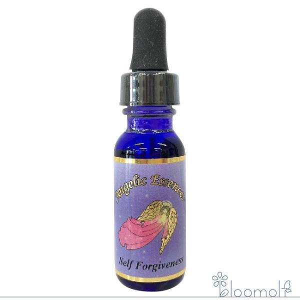 これは、自分自身を許すことを助けるためのエッセンスです。誰にでも、「しなければよかった」とか「変えられるものなら変えたい」というような、過去の苦い経験があります。過去を変えたいという願望は、理解できるものではありますが、成し遂げることは不可...