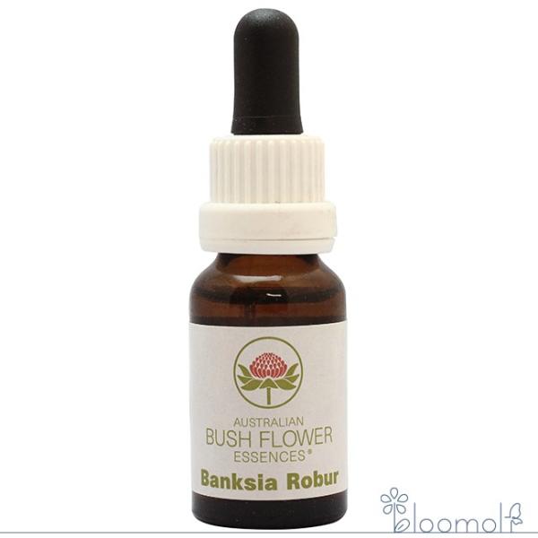 自信喪失、意欲喪失状況の今、再び元気を取り戻す手助けをしてくれます。はまりこんでしまった気持ちを引き上げて頑丈な大地へと引き戻してくれます。オススメはお風呂に入れて入浴するとネガティブな気持ちを洗い流すことができます。■商品名：バンクシアロ...