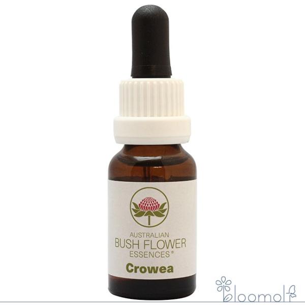 少しバランスが崩れてしまっている。何かに怯えてしまってる状態の人。安心感と落ち着きを取り戻してバランスを整え集中できるように手助けします。■商品名：クロウェア オーストラリアンブッシュ シングルエッセンス フラワーエッセンス Crowea