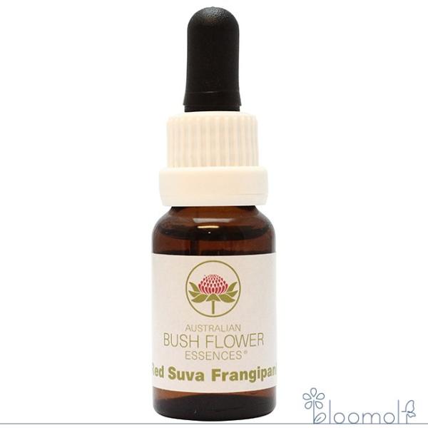 耐え難い苦しみ、愛する人を失ったりとひどく気持ちが動転してる状況の人に最適なエッセンスです。人との関係が終わりを迎える時、もしくは「危なっかしい」状態にある時に感じるとてつもなく激しい感情、難しさ、及び苦痛に対して効果があります。自分が置か...