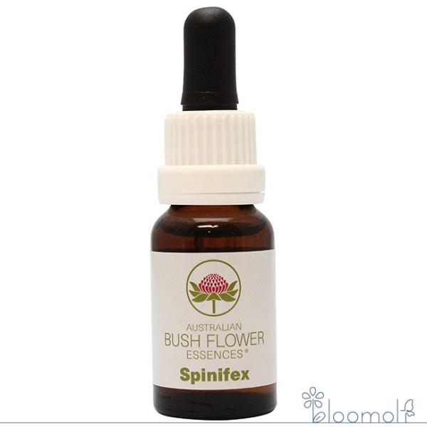 病気について悩みを持っている、どうすることもできない病気だと思い苦しんでる人へサポートします。再発する病気や症状に悩んでいる人に最適です。■商品名：スピニフェックス オーストラリアンブッシュ シングルエッセンス フラワーエッセンス Spin...