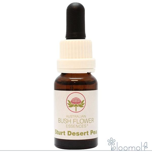 感情的な苦痛や、深く心が傷ついているとき、悲しみをまっすぐに受け止めることで本来の自分を見いだせるようにサポートします。本来の自分を見つけ出したことによって心の奥底にある苦悩や悲しみから解放されて心が軽くなるのです。■商品名：スタートデザー...