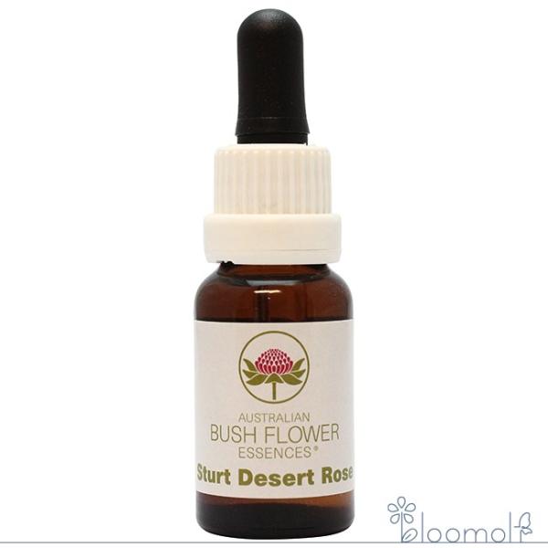 罪悪感を感じるような過去の行動に対して傷ついてしまった自尊心を取り戻せるようにサポートします。信念と道徳観に従って使命を成し遂げるサポートもします。■商品名：スタートデザートローズ オーストラリアンブッシュ フラワーエッセンス Sturt ...