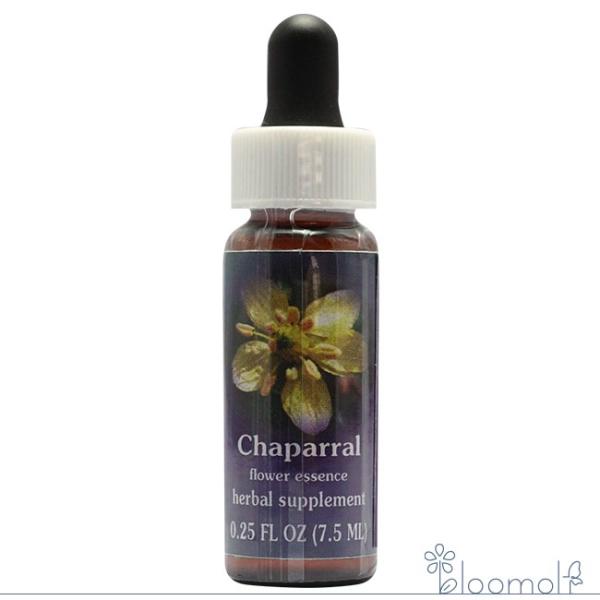 ■ポジティブな性質バランスの取れた霊性の目覚め。■バランスが乱れた状態精神及び肉体に毒性を溜め込む傾向。混乱した内面生活。■商品名：チャパラル FESフラワーエッセンス クイントエッセンス Chaparral