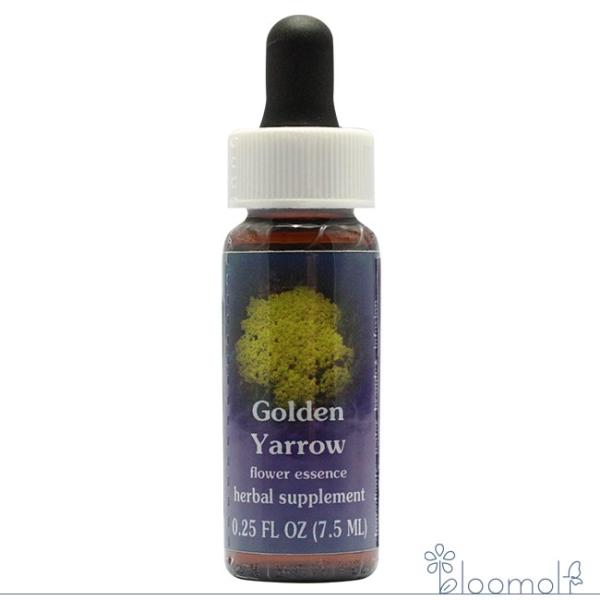 ■ポジティブな性質内面的に守られているという感覚を保ちながら、他者に対して心を開いていることができる。■バランスが乱れた状態環境や周りの人に過度に影響されやすいため人を避ける傾向がある。■商品名：ゴールデンヤロー FESフラワーエッセンス ...