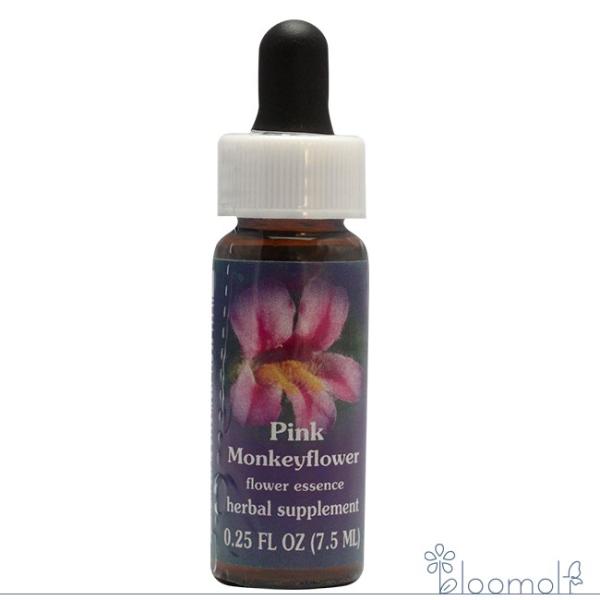 ■ポジティブな性質人間関係において感情面のリスクを負う勇気■バランスが乱れた状態羞恥心と罪悪感。感情に仮面をかぶる傾向。■商品名：ピンクモンキーフラワー FESフラワーエッセンス クイントエッセンス Pink Monkeyflower