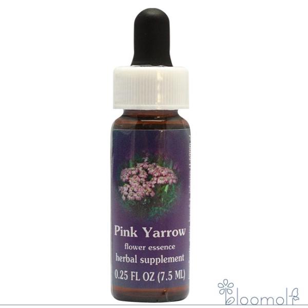 ■ポジティブな性質意識の内に自己抑制された安定した器があり、ほかの人を愛をこめて見ることができる。■バランスが乱れた状態バランスのかけた同情心。他人と自分の感情を不健康なかたちで混同する。■商品名：ピンクヤロー FESフラワーエッセンス ク...