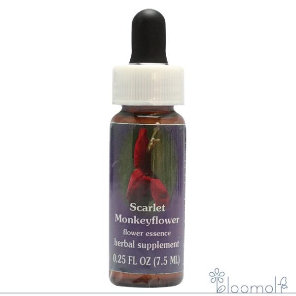 ■ポジティブな性質正直な感情を表現できる。■バランスが乱れた状態怒りと無力感の問題を解決できない。■商品名：スカーレットモンキーフラワー FESフラワーエッセンス クイントエッセンス Scarlet Monkeyflower