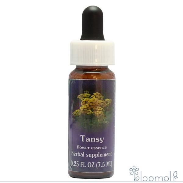 ■ポジティブな性質目標づけがしっかりとし、決断力がある。計画的で目的がはっきりとした行動ができる。自分の意志で行動できる。■バランスが乱れた状態無気力で物事を完了できない。ぐずぐずする。まっすぐな行動をとることが難しい。「自己」が本当に望む...