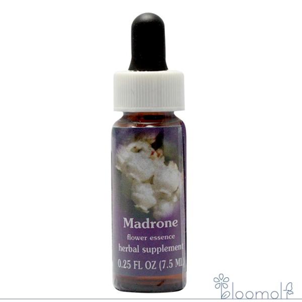 肉体上の豊かさと充足が得られるように。シビアすぎるダイエットをしたり、自己の体重やサイズを受け入れられないとき。■商品名：マドローン FESフラワーエッセンス レンジオブライト Madrone