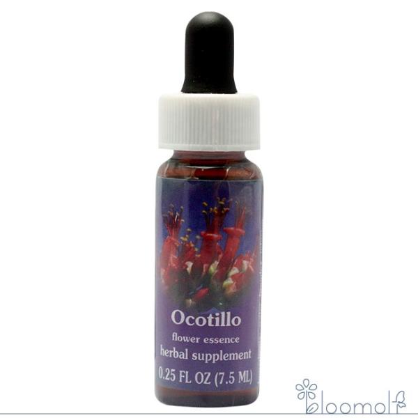 魂の中心にしっかりとつながったポジティブな火の力を感じたいとき。過度の霊的な"火"のエネルギーによって感情が怒りや暴力の形で表面に出てしまうとき。■商品名：オコティーロ FESフラワーエッセンス レンジオブライト Ocotillo
