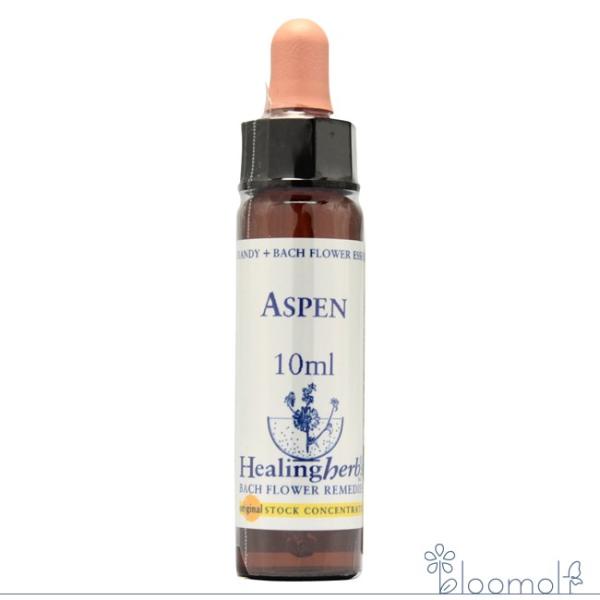 西洋ヤマナラシの花『日常の恐れや突発的な恐怖を感じるときに』ヒーリングハーブスのアスペンは、日光を浴びて美しく輝く薄緑色の葉をつける樹木で、風のない日でも落ち着きなく揺れています。その揺らぎのように漠然とした不安や説明の出来ない恐れ、何だか...