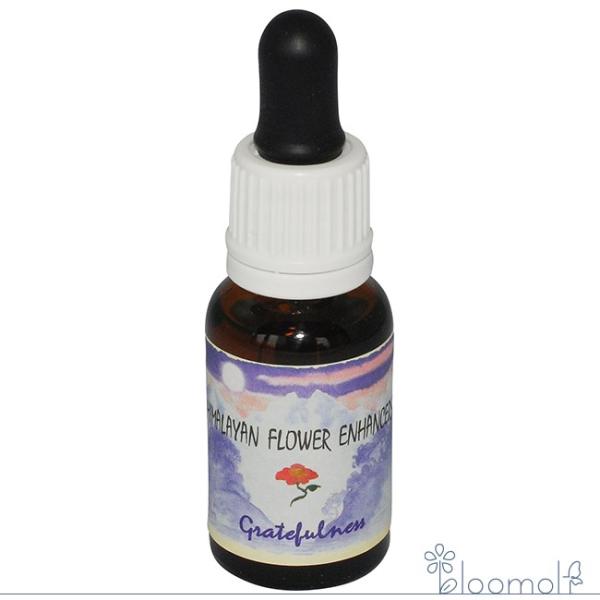 人としての兄弟愛、普遍的な分かり合い、普遍的な愛を高めてくれるエッセンスです。あらゆるエッセンスの触媒として自己中心的な考え方になっている時に助けてくれます。チャクラには固有の性質と共鳴要素があり、肉体の内分泌系の異なる様々な腺と関連があり...