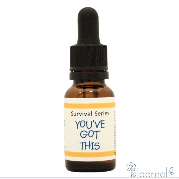 感度が強くなったり、取り巻く状況や人々によって圧倒されていると感じた時に使用して下さい。このエッセンスは、「自分にはできる」「この移行の時期を安全に通り抜けることができる」ということに気付くことを助けてくれます。■商品名：ユーブゴットディス...