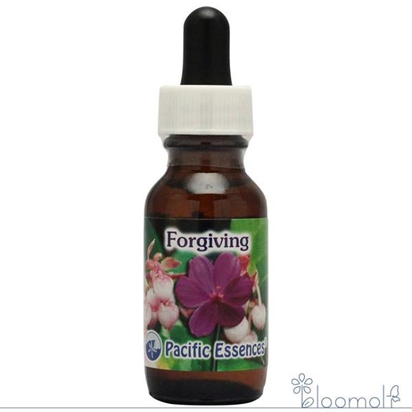 自分自身や他人に向けてしまいがちな非難や羞恥心を手放すことによって、すべての「古くてつらい」ことを断ち切る自由をもたらす。自分で自分にパワーを与え、自分で自分の方向性を決めるという感覚を呼び戻してくれる。 「コントロール癖」から抜けるために...