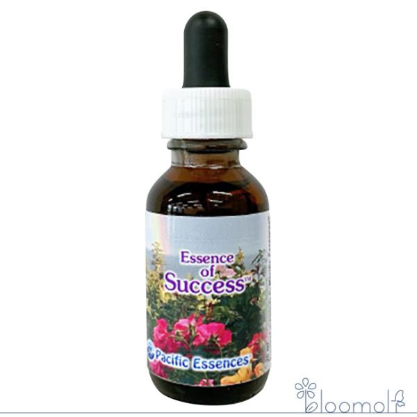 ■引き寄せるエネルギー献身、調和、充実感、『今この瞬間』というギフト、愛、喜び、祝福、恩恵、好奇心、思いやり、感謝、気付き、インスピレーション■課題集団意識、ブレインウォッシング(洗脳)、外圧に屈する、プロパガンダ(意図した方向へ人を向かわ...