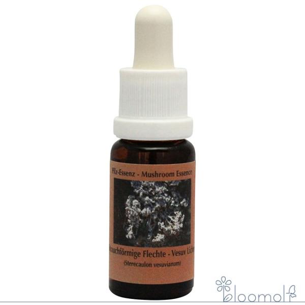 精神的打撃を与えられた出来事の後、新たに出発する力をくれる。その際に、少しずつでも先に進もうとする意志をもてるように助けてくれる。サバイバルの為のエッセンスで、パイオニア精神に溢れ、私はあきらめないというパワーをくれる。■チャクラベース（第...