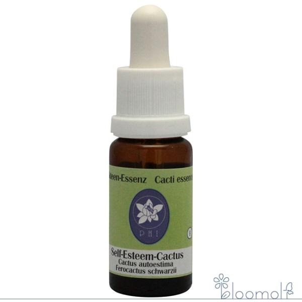 自信を強め、自己防衛力をエネルギー的にサポートしてくれる。連帯の持つ力強さという意味でのグループ意識と、身の回りの生きるもの全てに対する共感を育む。自分自身と他人を信頼し、強力な基盤と精神的な結び付きを強める助けに。■チャクラ太陽神経叢（第...