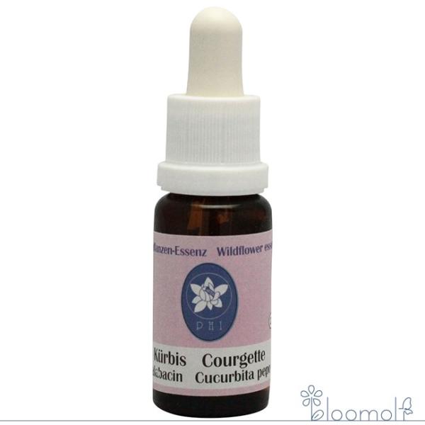 第2チャクラを強め、物事を発展させ、成長させられるように助けてくれる。女性性の部分を統合する助けに。妊娠中の女性にハーモニーをもたらす。■チャクラセイクラル(第2）・太陽神経叢(第3)■商品名：カージット コルテPHIエッセンス ワイルドフ...