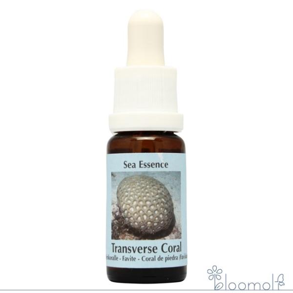 細胞の構造と再生に、エネルギー的に働きかけます。大脳皮質のエネルギー的活性化に。人と社会構造のあいだに感情レベルでのつながりとルールをつくります。■商品名：トランスバースコーラル TransverseCoral コルテPHIエッセンス シー...